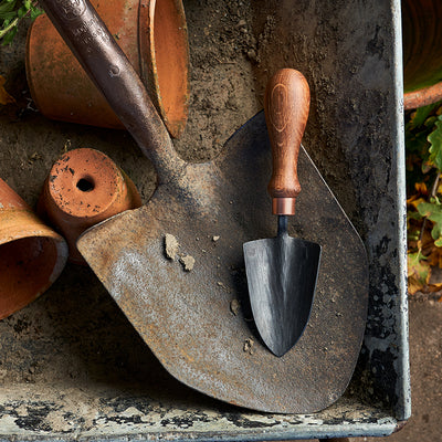 Alex Pole | Forged Carbon Steel Kitchenware